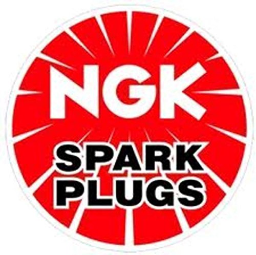 Amazon.com: NGK 9029 Spark Plug : Automotive