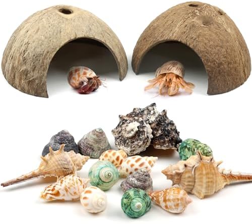 Amazon.com : QUOZUO Hermit Crab Supplies, 2pcs Natural Coconut Shell ...