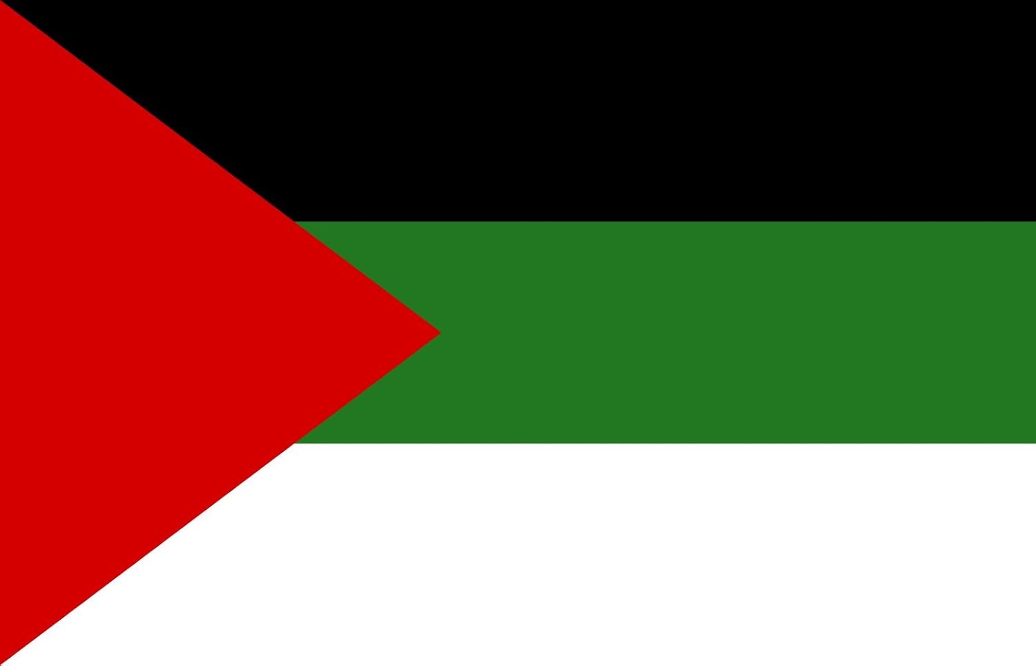 Amazon.com : magFlags Large Flag Arab revolt of 1917 Hashemites ...