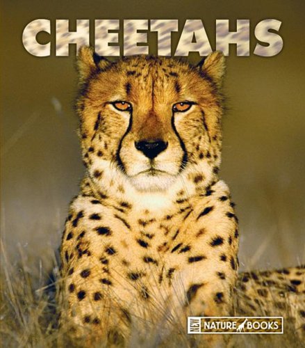 Cheetahs (New Naturebooks, 1264): Markert, Jenny: 9781592966325: Amazon ...