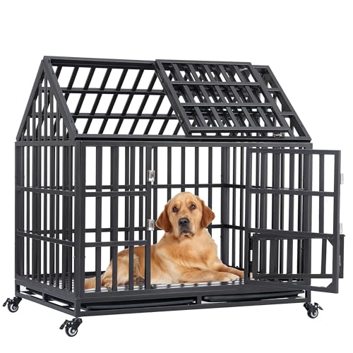 44 Inch Heavy Duty Indestructible... - Labradoodles By Cucciolini