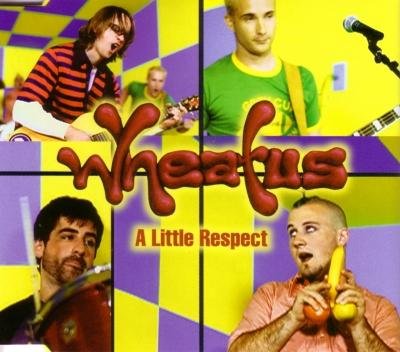 Amazon.com: Little Respect: CDs & Vinyl