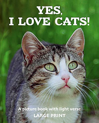 Cat Says Yes