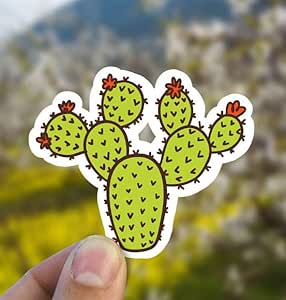 Amazon.com - Flowering Cactus Vinyl Sticker Decal Cars Trucks Vans ...