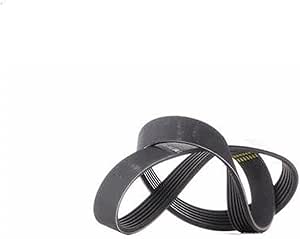 Amazon.co.jp: Timing Belt 11287603348 Engine Generator Belt B48 N20 N13 ...