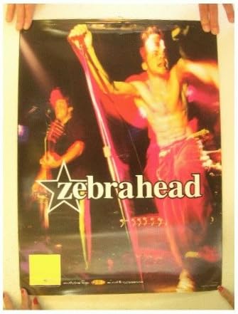 Amazon.com: Zebrahead Poster Zebra Head Concert Shot: Prints: Posters ...
