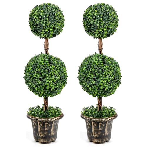 Buchsbaum Balkon – Die 15 besten Produkte im Vergleich - Hausbauberater ...