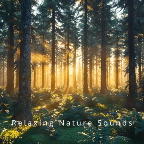 Play Mountain Streams: Nature's Sleep Soundscapes by Relaxing Nature ...