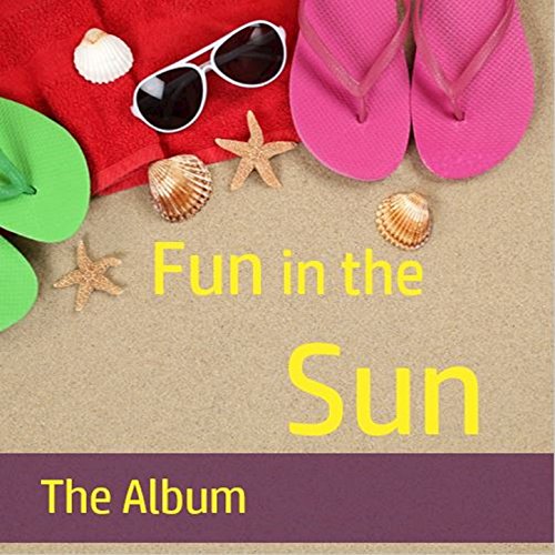 Amazon.com: Fun in the Sun: The Album : VARIOUS ARTISTS: Digital Music