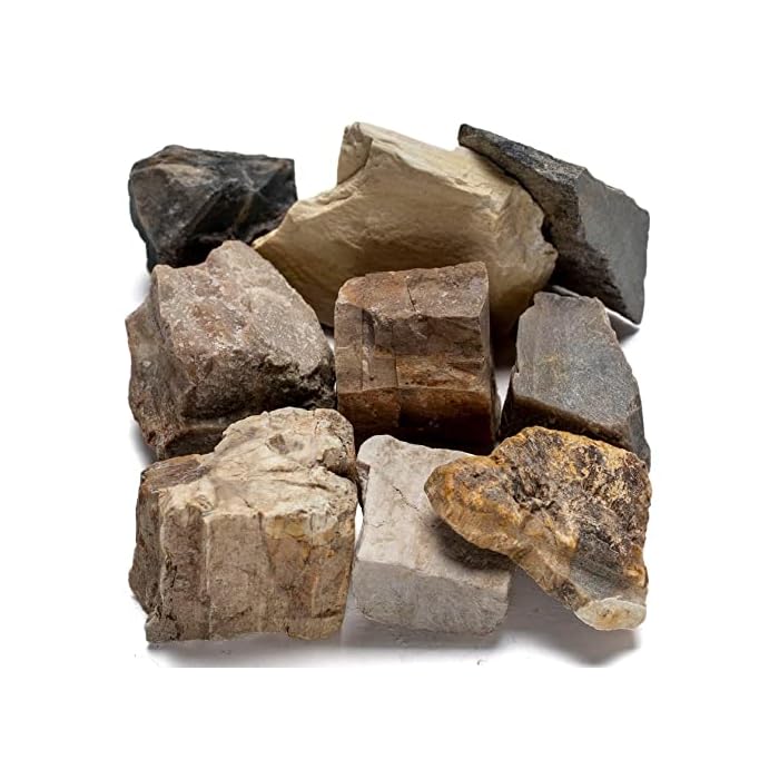 Buy KALIFANO Rough Petrified Wood 10 Stone Bulk Bundle with Healing ...