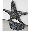 Amazon.com: GSM Iron Starfish Doorstop Verdigris Finish : Office Products