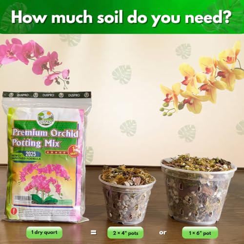 [Upgraded] DUSPRO Orchid Potting Mix for Repotting with Forest Moss ...