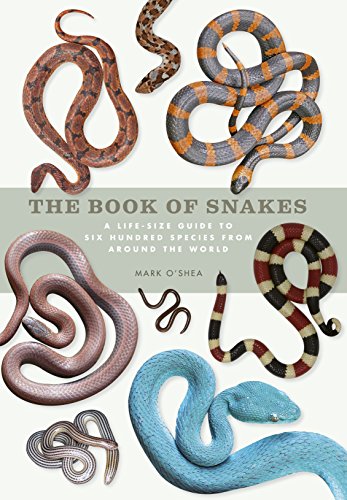 The Book of Snakes: A life-size guide to six hundred species from ...