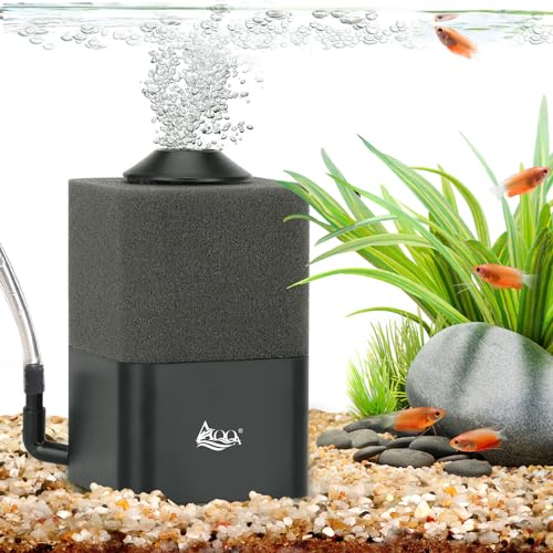 Top 6 Best Betta Filters In 2022: Top Picks for Your Aquarium