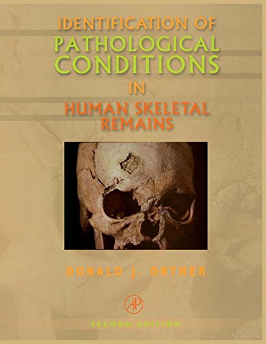 Amazon.co.jp: Identification of Pathological Conditions in Human ...
