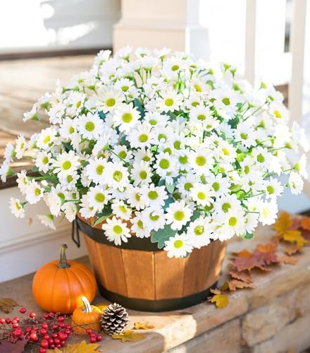 Amy Dusseault | The Palmetto Porch at Home's Amazon Page