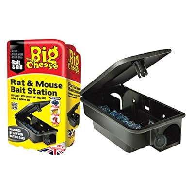 Amazon.co.uk: rat box