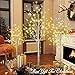 Amazon.com: Lamerge Lighted Tree Set of 3,Christmas Tree 4Ft,5Ft and ...