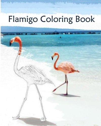 Amazon.com: Flamingo Coloring Book: A Coloring Book Containing 30 ...