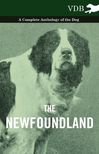 The Newfoundland - A Complete Anthology of the Dog eBook : Various ...