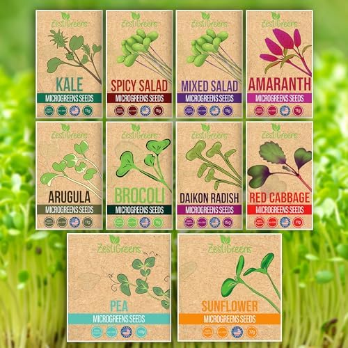 Amazon.com : 12 Variety Pack Microgreens Seeds Kit - Broccoli Seeds for ...