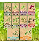 Amazon.com : 10 Variety Pack Microgreens Seeds - Broccoli, Sunflower ...