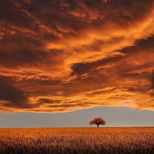 Amazon MusicでSonidos de lluvia para dormir, nature & Sounds Background ...