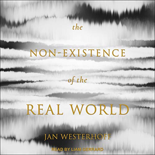 Amazon.com: The Non-Existence of the Real World (Audible Audio Edition ...