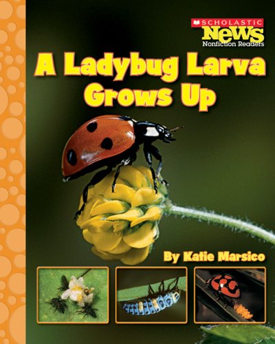 Amazon.com: A Ladybug Larva Grows Up (Scholastic News Nonfiction ...