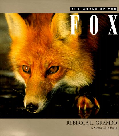 The World of the Fox: Grambo, Rebecca L.: 9780871563774: Amazon.com: Books