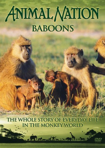 Amazon.com: Animal Nation - Baboons: the Whole Story [Import anglais ...
