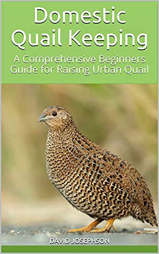 Domestic Quail Keeping : A Comprehensive Beginners Guide for Raising ...