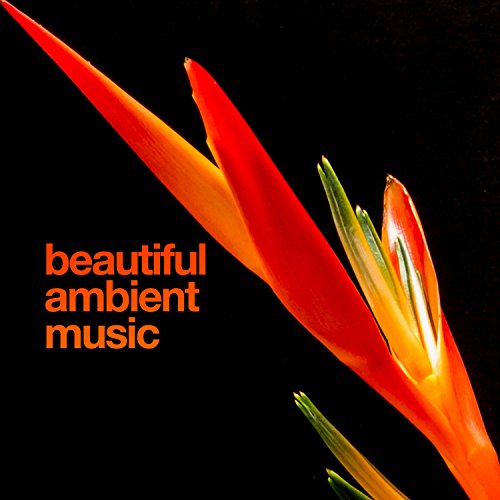 Beautiful Ambient Music by Pure Massage Music on Amazon Music - Amazon ...