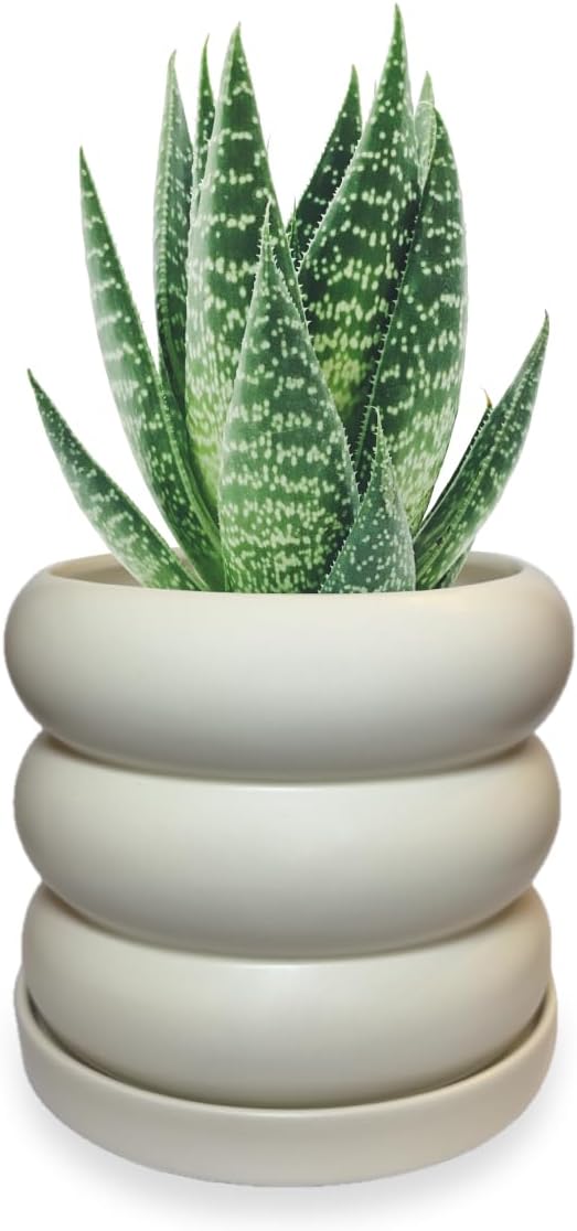 Amazon.de: ELLOS Home Milton Übertopf, vielseitiger Blumentopf aus ...