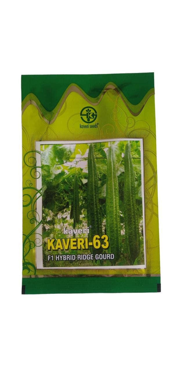 KAVERI 63 F1 Hybrid Ridge Gourd Seeds : Amazon.in: Garden & Outdoors
