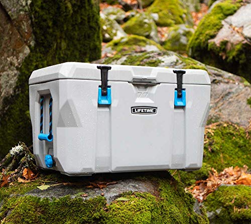 The 7 Best Lifetime Coolers of 2026 [Verified] - Cherry Picks