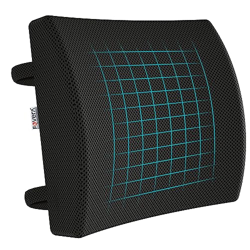 amazon.ae Best Sellers: The best items in Home Office Back Cushions ...