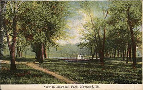 View in Maywood Park Maywood, Illinois IL Original Antique Postcard at ...