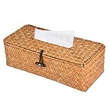 Volcano Tissue Dispenser