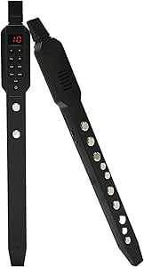 Amazon.com: Rechargeable Electronic Wind Instrument, 10 Tones Digital ...