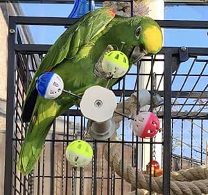 Amazon.com : Rotating Bird Perch Ball Toy for Parrots, Parakeets ...