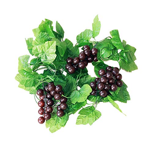 Best Grape Garlands: Elevate Your Home Decor with These Stunning ...