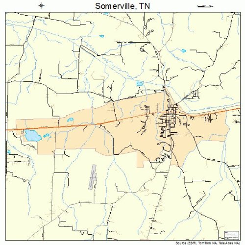 Amazon.com: Large Street & Road Map of Somerville, Tennessee TN ...