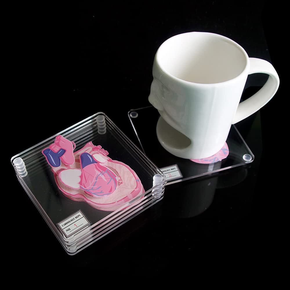 Amazon.com: Timethink (Set of 6) 3D Anatomic Heart Specimen Coasters ...