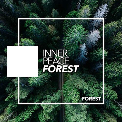Spiele Inner Peace Forest von Forest auf Amazon Music ab