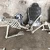 Amazon.com: 2023 New 70/90/170cm Halloween Skeleton Prop Human Life ...