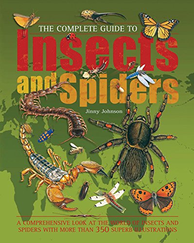Complete Guide To Insects And Spiders: Johnson, Jinny: 9781845663209 ...