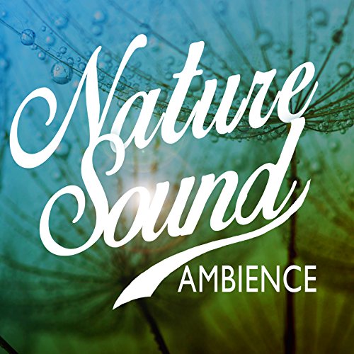 Play Nature Sound Ambience by Nature Sound Ambience on Amazon Music Unlimited, ${countryName}