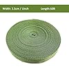 Amazon.com : Green Tree Tie Strap 50 Feet x 1 Inch Tree Support Straps ...