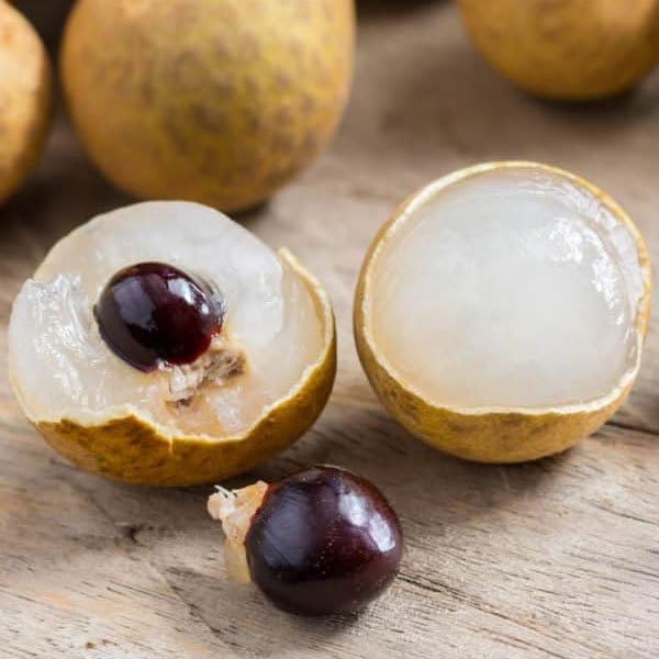 Sweet & Rare Thai Variety Seedless Longan Plant (GRAFTED) Healthy ...